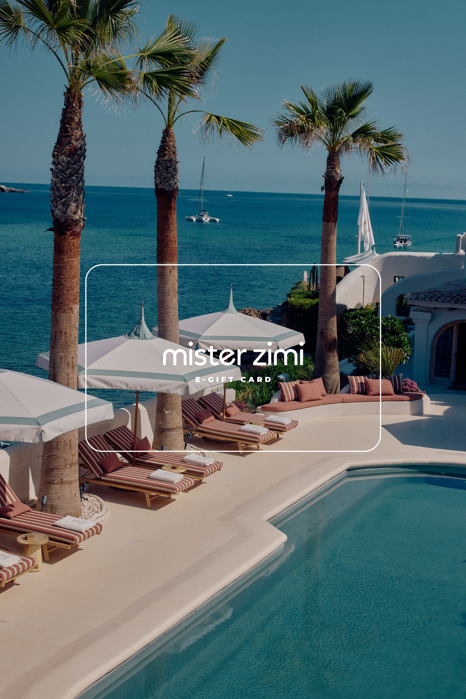 E-Gift Card – Mister Zimi