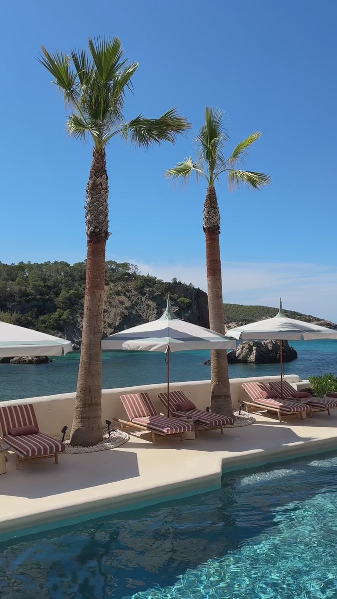 Cruz Cami In Miami – Mister Zimi